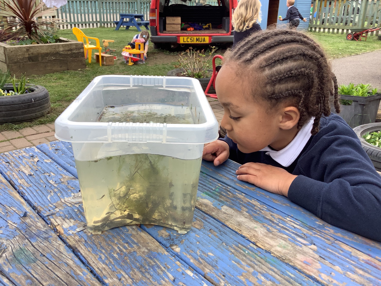 Nursery go Pond Dipping - Burton Hathow | Preparatory School‎