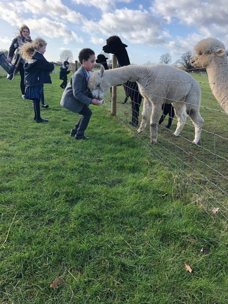 Well done Mrs Wells' Class - Burton Hathow | Preparatory School‎